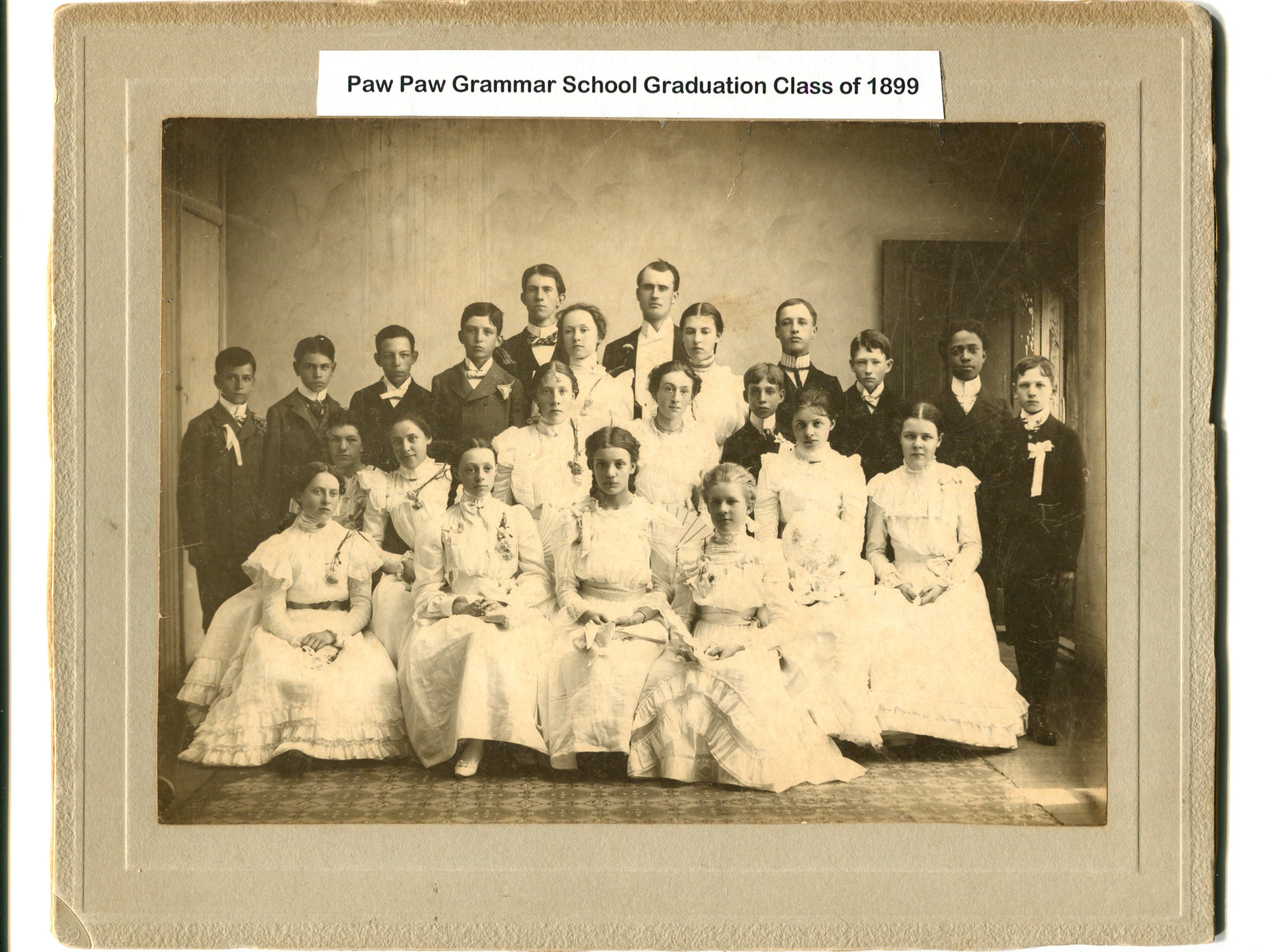 Rosina Revelle Tumblr