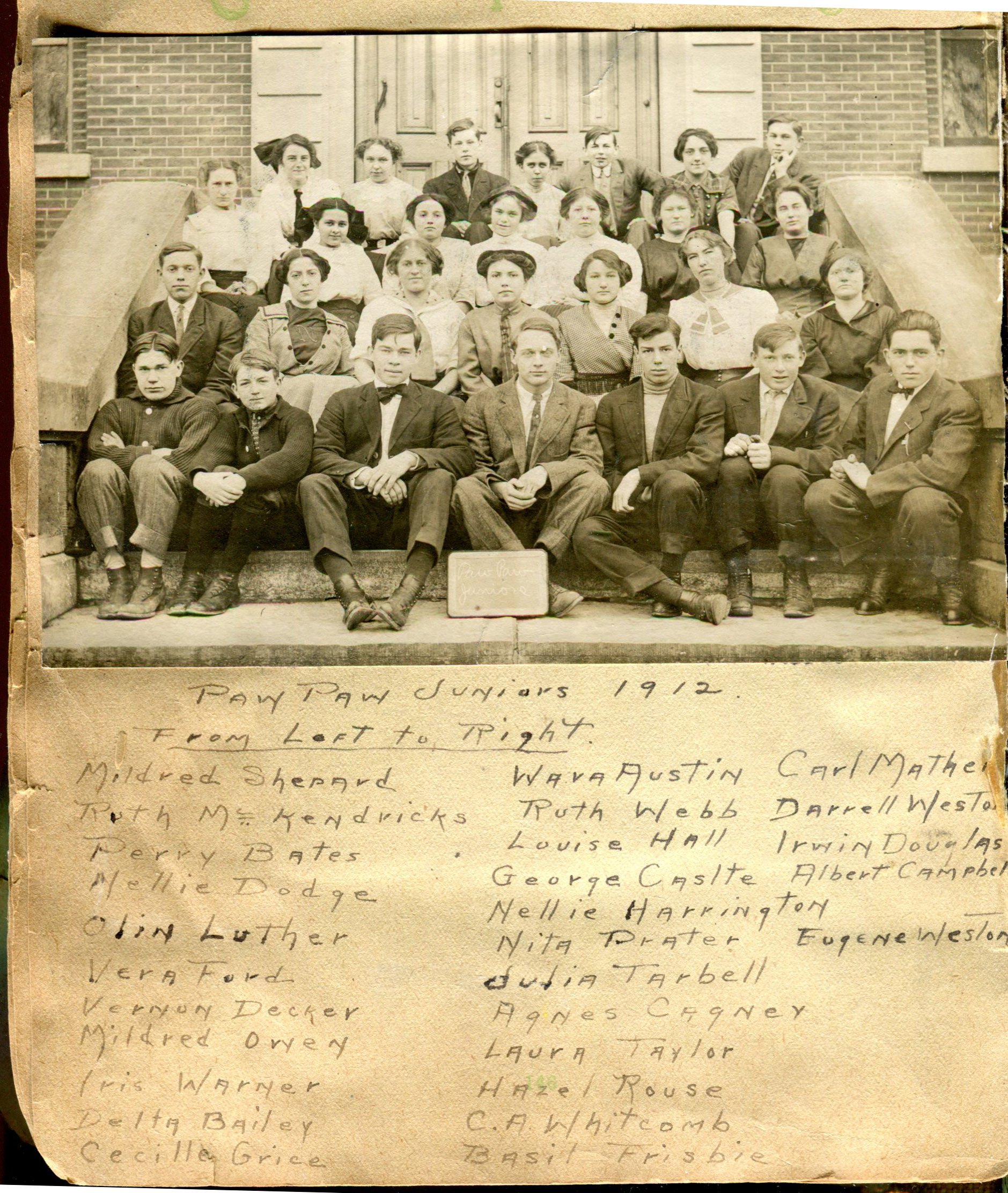 Rosina Revelle Tumblr