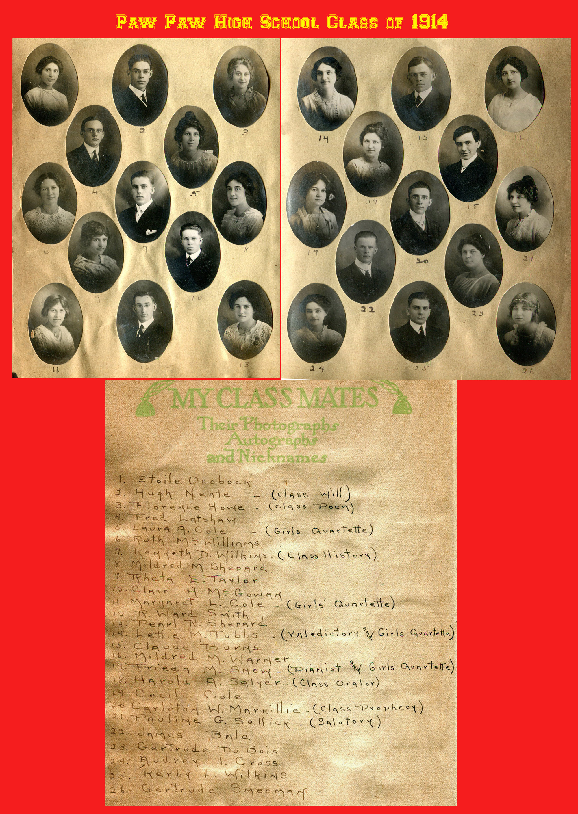 Rosina Revelle Tumblr